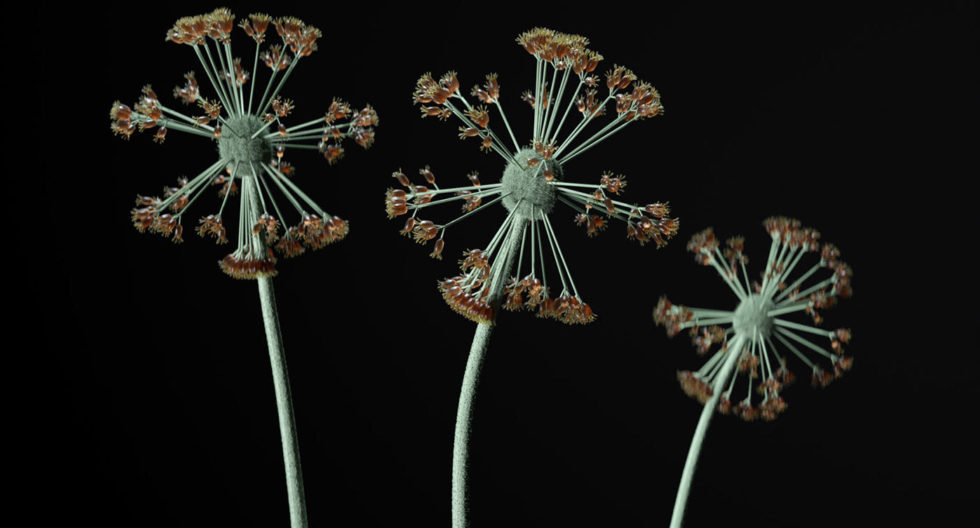 Digital Art Installation "Hanami 2050" for Nicolai Bergmann | Onesal